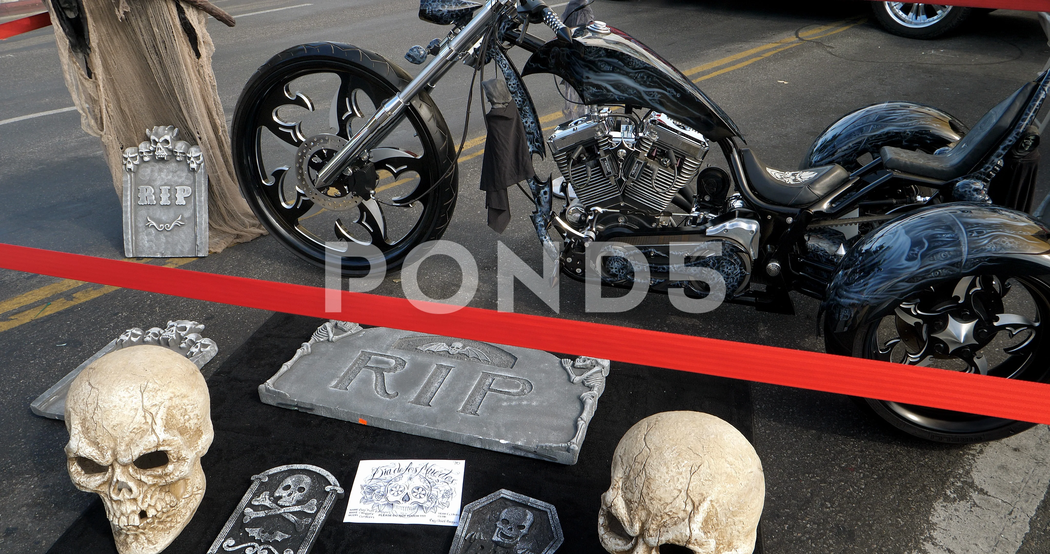 Harley Davidson Skeleton | atelier-yuwa.ciao.jp
