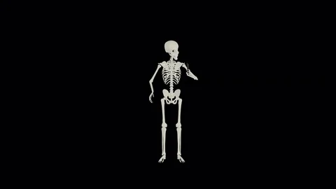 Skeleton taking selfie - 3d looping anim... | Stock Video | Pond5