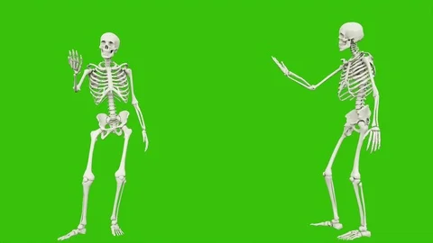 Skeleton talking. Seamless loop animatio... | Stock Video | Pond5