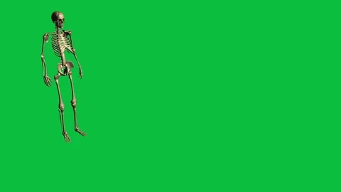 Green Screen Skeleton Stock Video Footage | Royalty Free Green Screen ...
