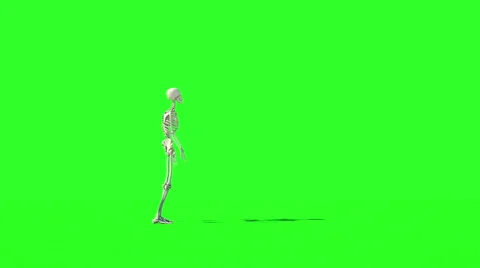 skeleton walk animation. GI render. Gree... | Stock Video | Pond5