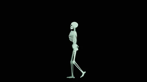 Skeleton walk cycle animation with alpha... | Stock Video | Pond5