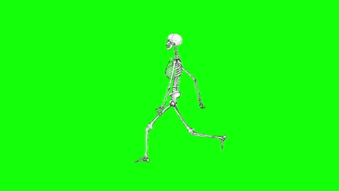 Skeleton Green Screen Stock Video Footage | Royalty Free Skeleton Green ...