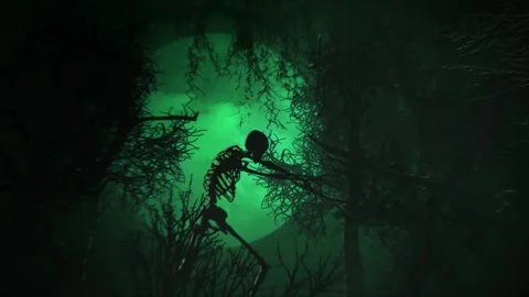 Haunted Forest Stock Video Footage | Royalty Free Haunted Forest Videos ...