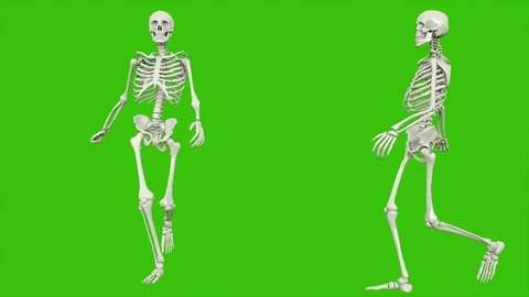 Skeleton walk. Seamless loop animation o... | Stock Video | Pond5
