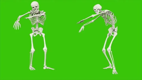 Skeleton walk. Seamless loop animation o... | Stock Video | Pond5