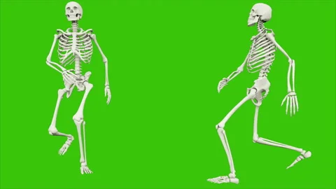 Skeleton walk. Seamless loop animation o... | Stock Video | Pond5