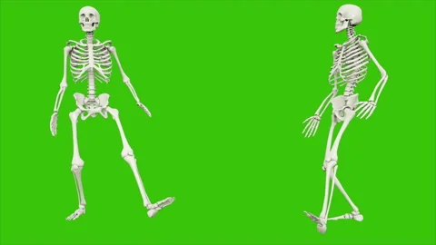 Skeleton walk. Seamless loop animation o... | Stock Video | Pond5