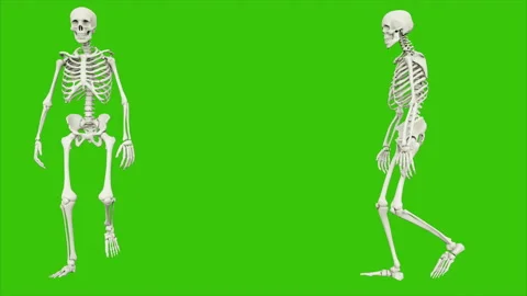 Skeleton walk. Seamless loop animation o... | Stock Video | Pond5