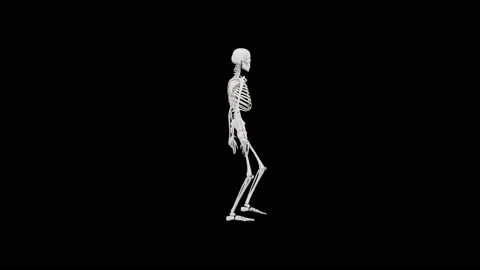 Walking Skeleton Animation Stock Footage ~ Royalty Free Stock Videos ...