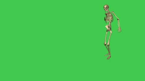 Skeleton Green Screen Stock Video Footage | Royalty Free Skeleton Green ...