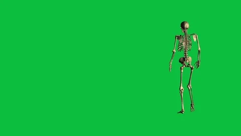 Skeleton Greenscreen Stock Video Footage | Royalty Free Skeleton ...