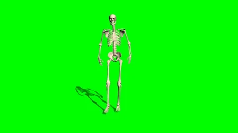 Skeleton Green Screen Stock Video Footage | Royalty Free Skeleton Green ...