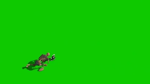 Medieval Knight Green Screen Stock Video Footage | Royalty Free ...