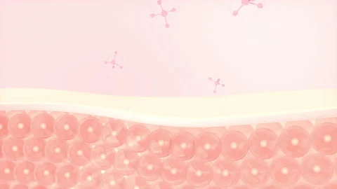 Skin cells and molecular structure, 3d r... | Stock Video | Pond5
