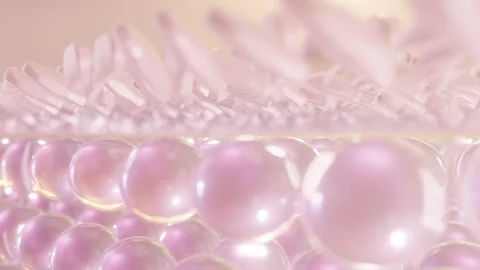 Skin Cells Animation Stock Videos – Royalty-Free HD & 4K Videos | Pond5