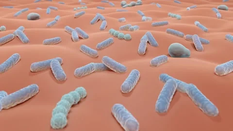 Skin Microbiome Stock Footage ~ Royalty Free Stock Videos | Pond5