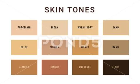Skin tone color scale chart. Brown palette vector human skin ...