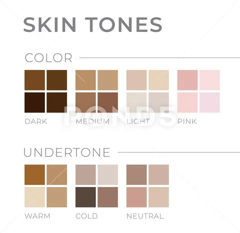 Skin tones with Undertone. Warm, Cold, Neutral Skin Colors Illustration ...