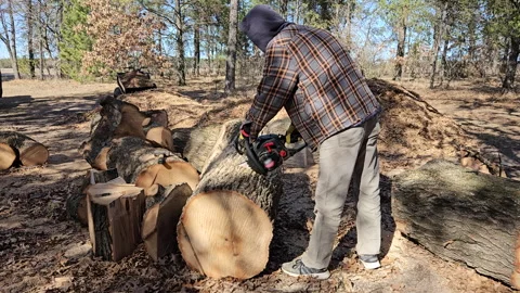 Man Using Chainsaw Stock Videos – Royalty-Free HD & 4K Videos | Page 2