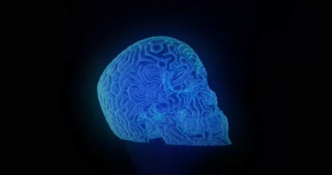 Skull with brain projection hologram rot... | Stock Video | Pond5