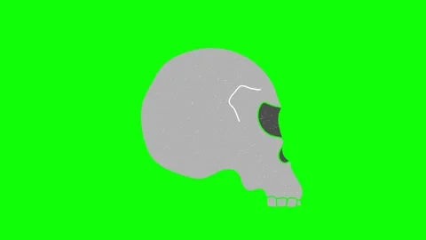 Skull Face Green Screen Stock Videos – Royalty-Free HD & 4K Videos