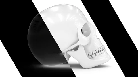 Skull. Looping footage has 4K resolution... | Stock Video | Pond5