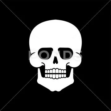 Skull Skeleton anatomy human. Skeletal system cross section. vector ...