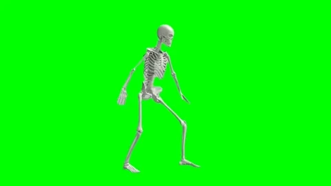 Skull Face Green Screen Stock Videos – Royalty-Free HD & 4K Videos