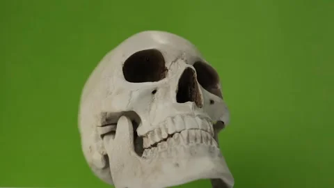 Skull spinning on green isolated studio ... | Stock Video | Pond5