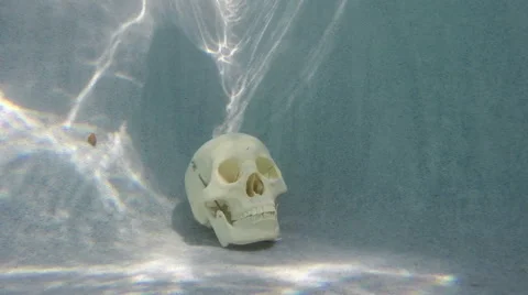 Creepy Ocean Under Water Stock Videos – Royalty-Free HD & 4K Videos