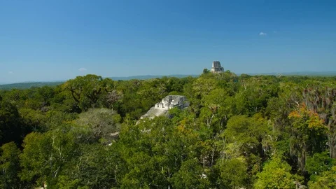 Skyline view of the maya archeological s... | Stock Video | Pond5