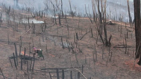 Slash Back Stock Footage ~ Royalty Free Stock Videos | Pond5