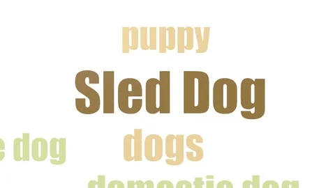 Sled Dog Word Cloud Animated On White Ba... | Stock Video | Pond5