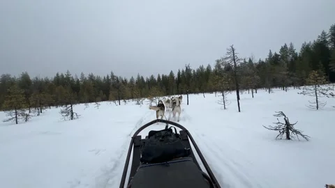 Shitting Stock Videos – Royalty-Free HD & 4K Videos