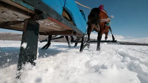 Horse Ride Sleigh Stock Videos – Royalty-Free HD & 4K Videos | Page 3