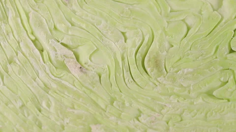 A slice of a ripe boiled cabbage rotates... | Stock Video | Pond5