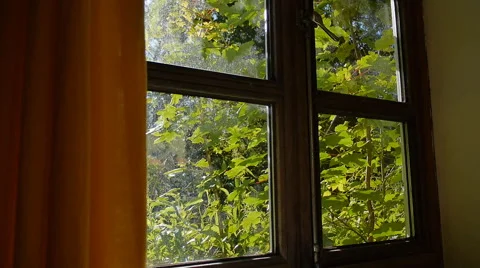 Window Door Slide Stock Videos – Royalty-Free HD & 4K Videos