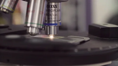 Microscope Slide Stock Footage ~ Royalty Free Stock Videos | Pond5
