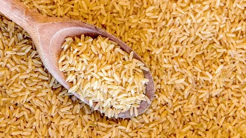 Cop Show W Stock Videos – Royalty-Free HD & 4K Videos | Pond5