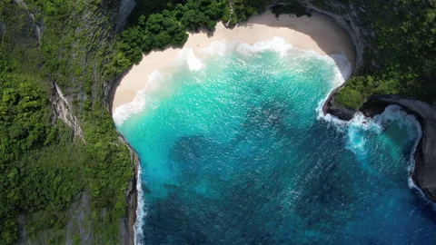 Trex Top View Stock Videos – Royalty-Free HD & 4K Videos | Pond5