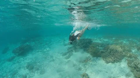 Girl Diving Into Water Stock Footage ~ Royalty Free Stock Videos | Pond5