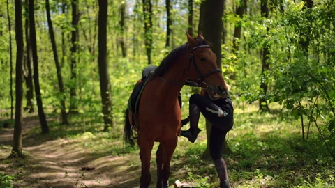Animal Mounting Stock Videos – Royalty-Free HD & 4K Videos | Page 4
