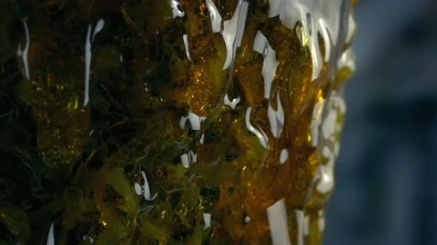 Slime Dripping Alien Life Form Closeup | Stock Video | Pond5