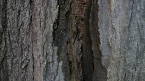 Slime Stock Video Footage | Royalty Free Slime Videos | Pond5