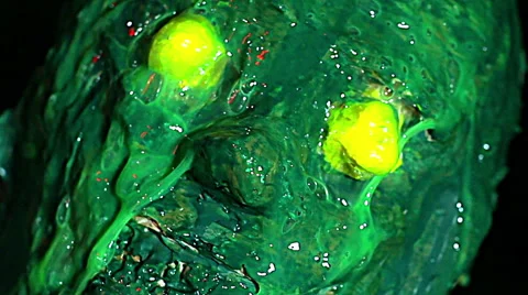 slime monster creature evil | Stock Video | Pond5