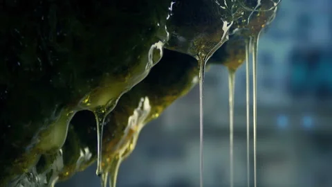 Slimy Alien Creature In Spaceship With F... | Stock Video | Pond5