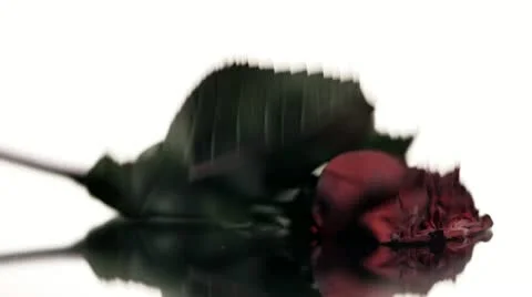 Studio 20 Images Stock Videos – Royalty-Free HD & 4K Videos | Pond5