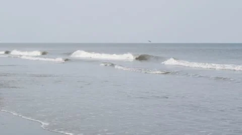 Slov Fun Stock Videos – Royalty-Free HD & 4K Videos