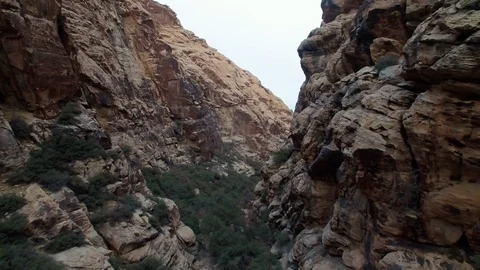 Old Lady Peeing Stock Video Footage | Royalty Free Old Lady Peeing ...